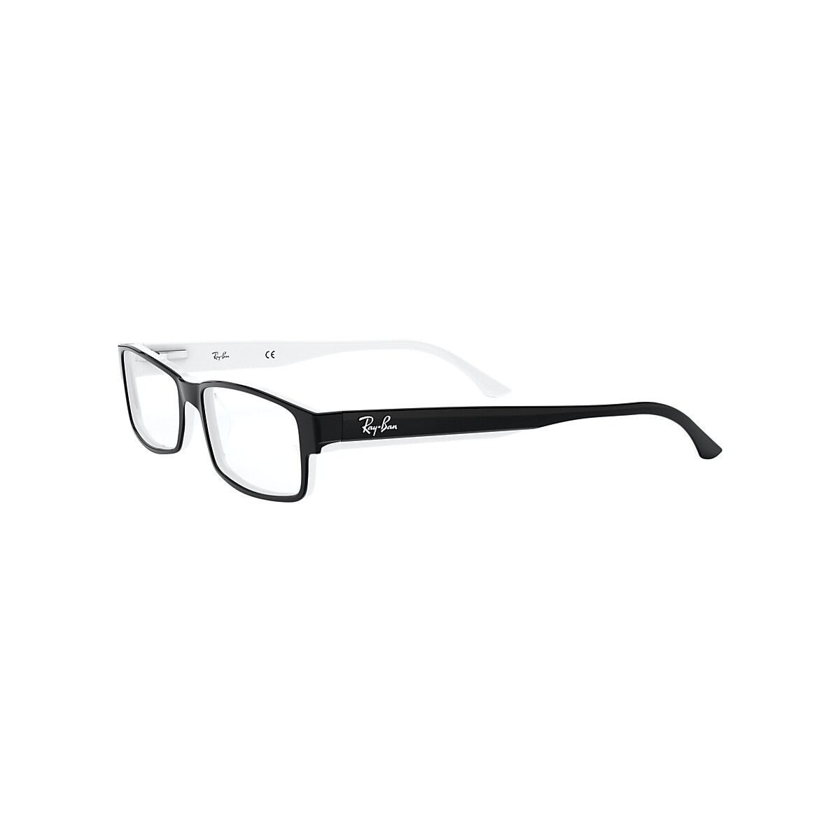 RB5169 OPTICS RB5169 2034 54-16