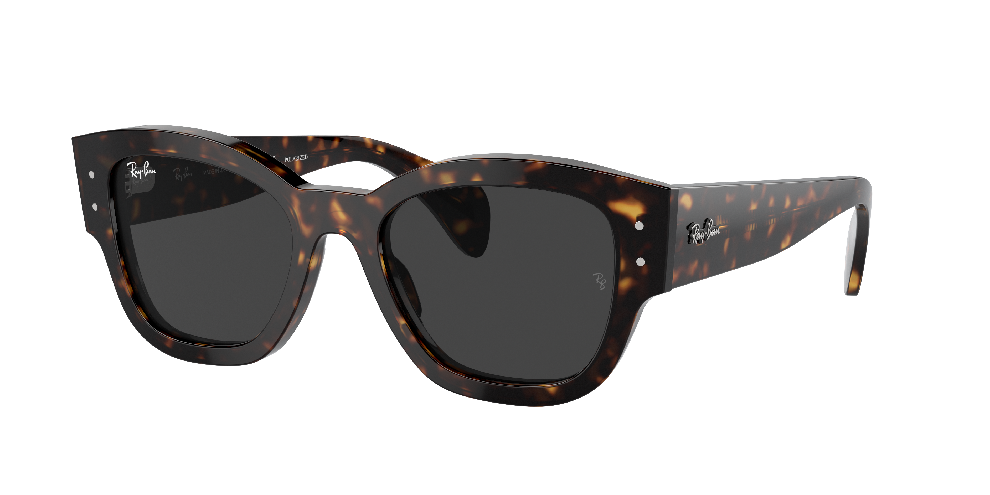 Polished Havana Sunglasses in Black Polarized (52-20) and Jorge ...