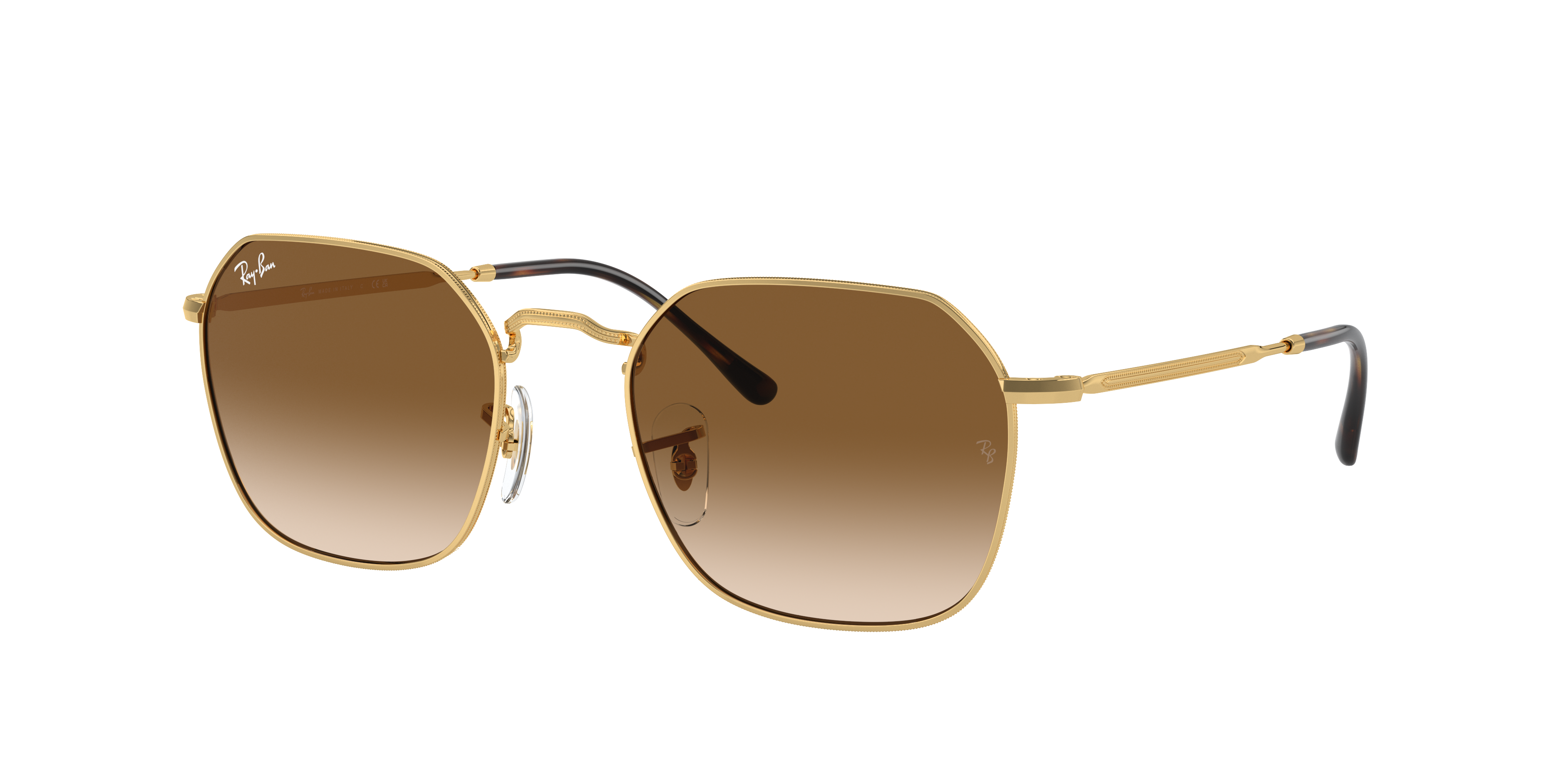 Polished Arista Gold Sunglasses in Light Brown (53-20) and Jim - RB3694 ...